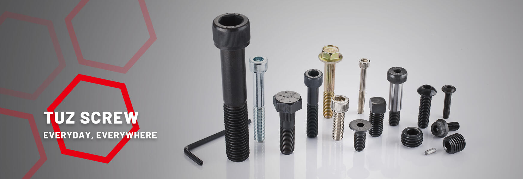 Taiwan Screw and bolt Fastener Supplier - Tuz-Maudle Industrial